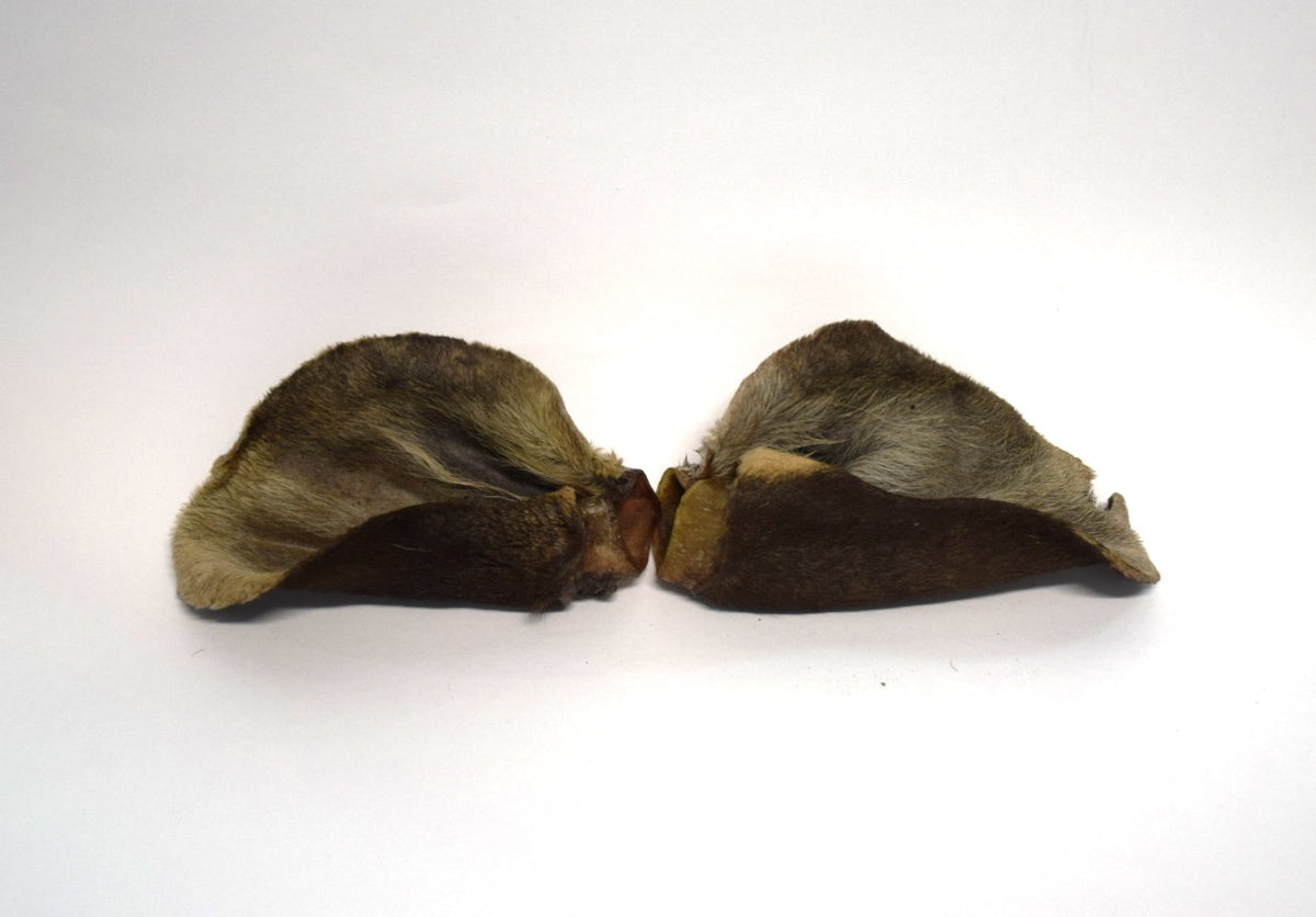 Furry Venison Ears – BM Animals Complete Nutrition