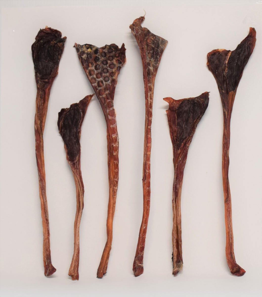 Kangaroo Tendons – BM Animals Complete Nutrition
